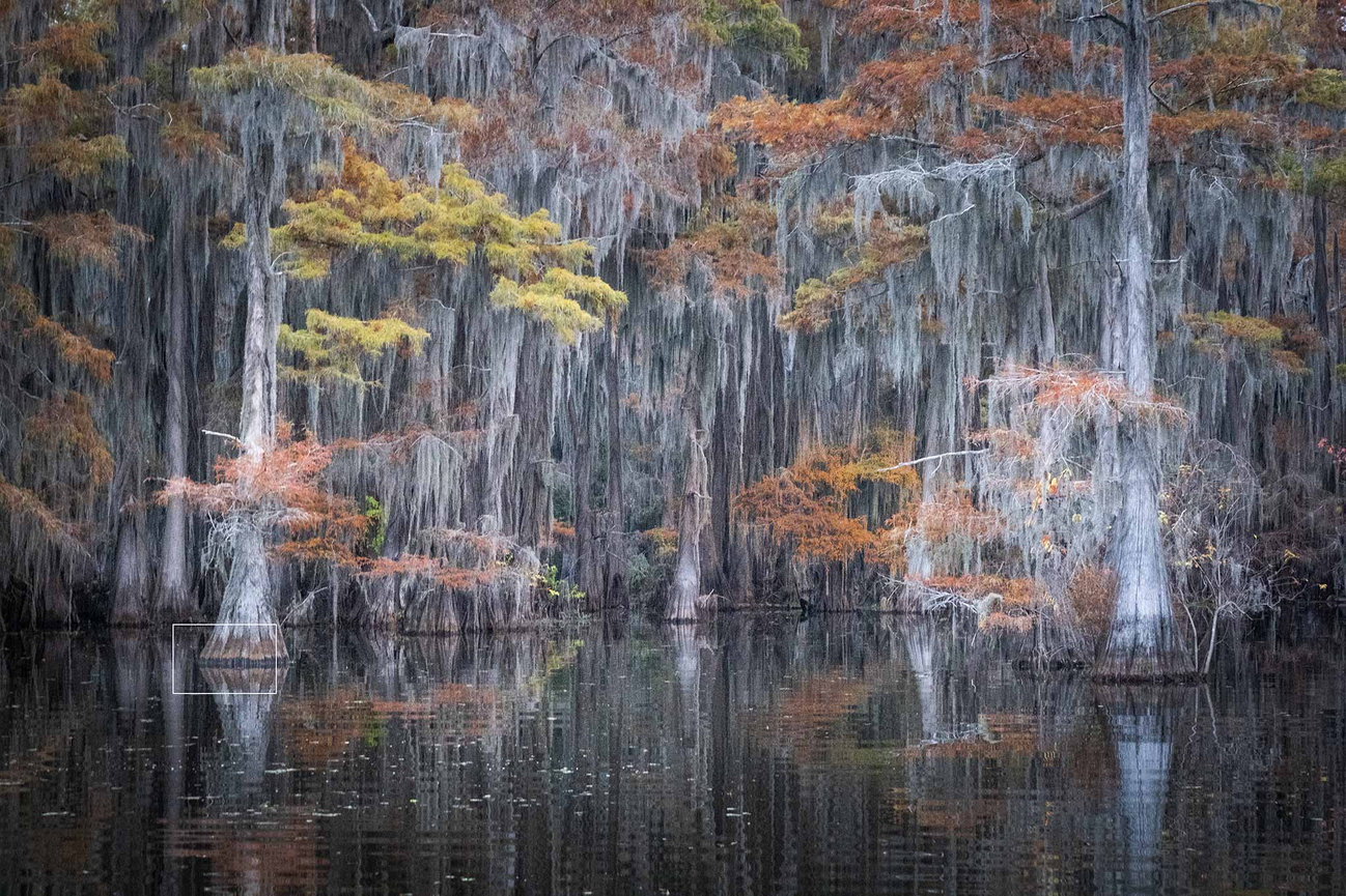 DENOISE & SHARPENING - Rob Strain Fine Art Photography & Workshops