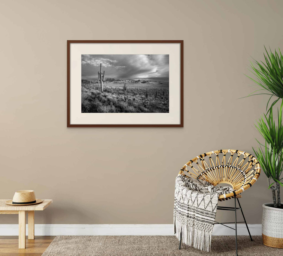 MONOCHROME - Rob Strain Fine Art Photography & Workshops