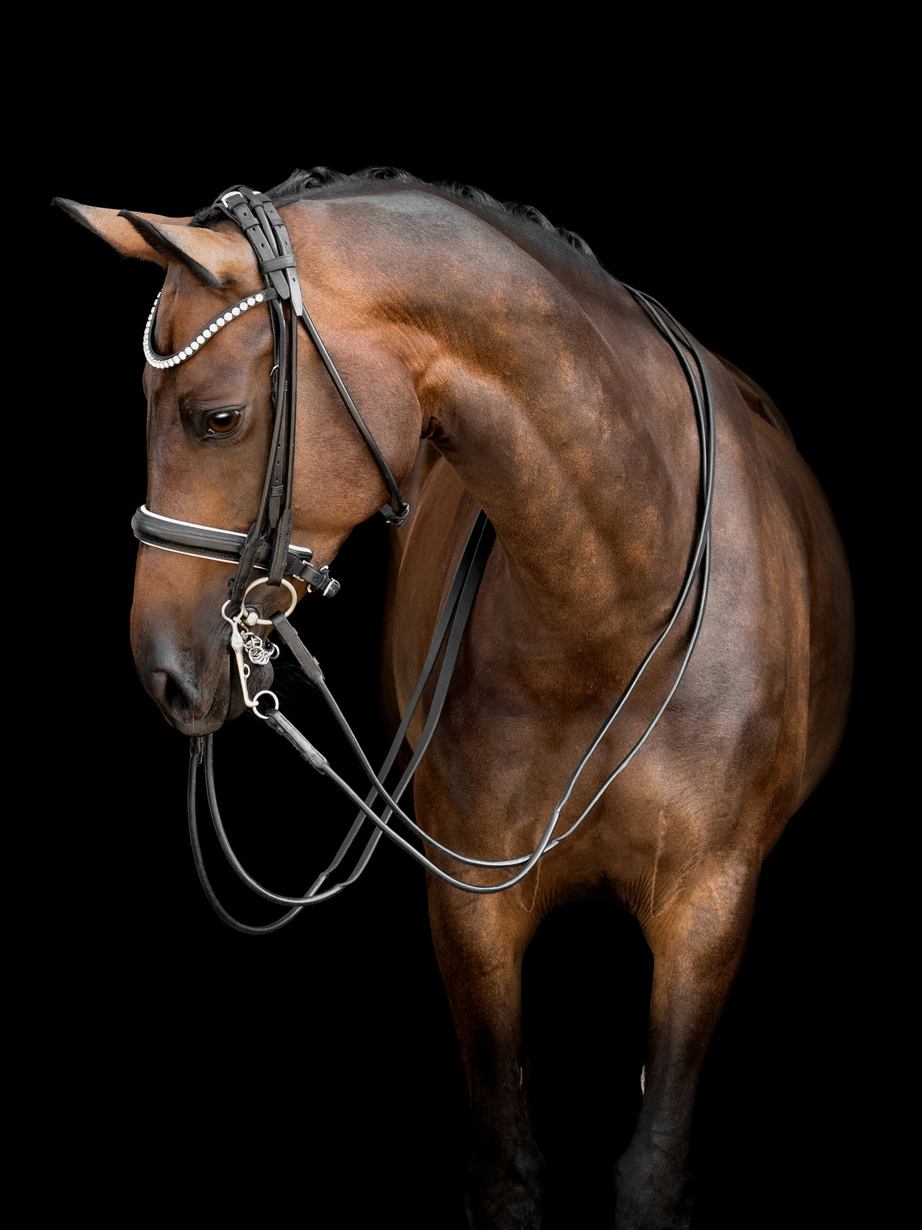 Bridgid’s Equestrian Journey | From Kentucky to Grand Prix