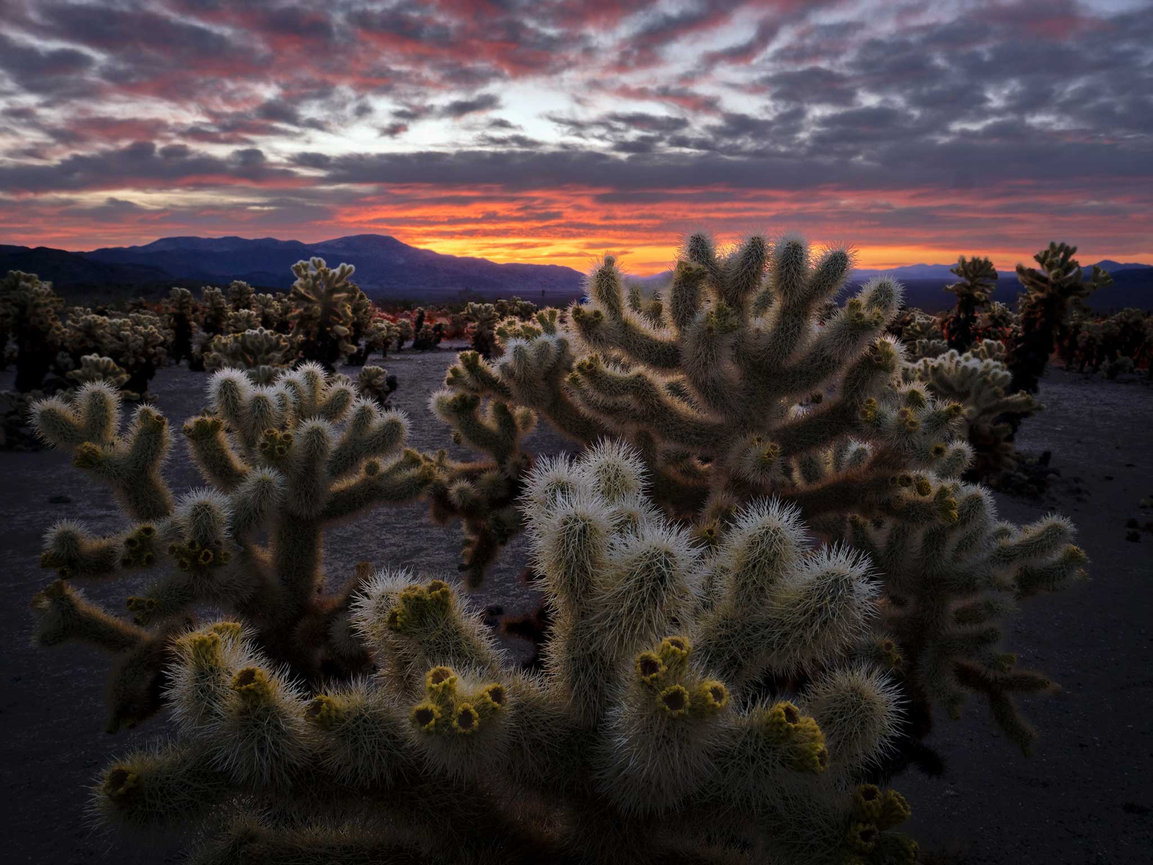 FEATURED PRINT - Rob Strain Fine Art Photography & Workshops