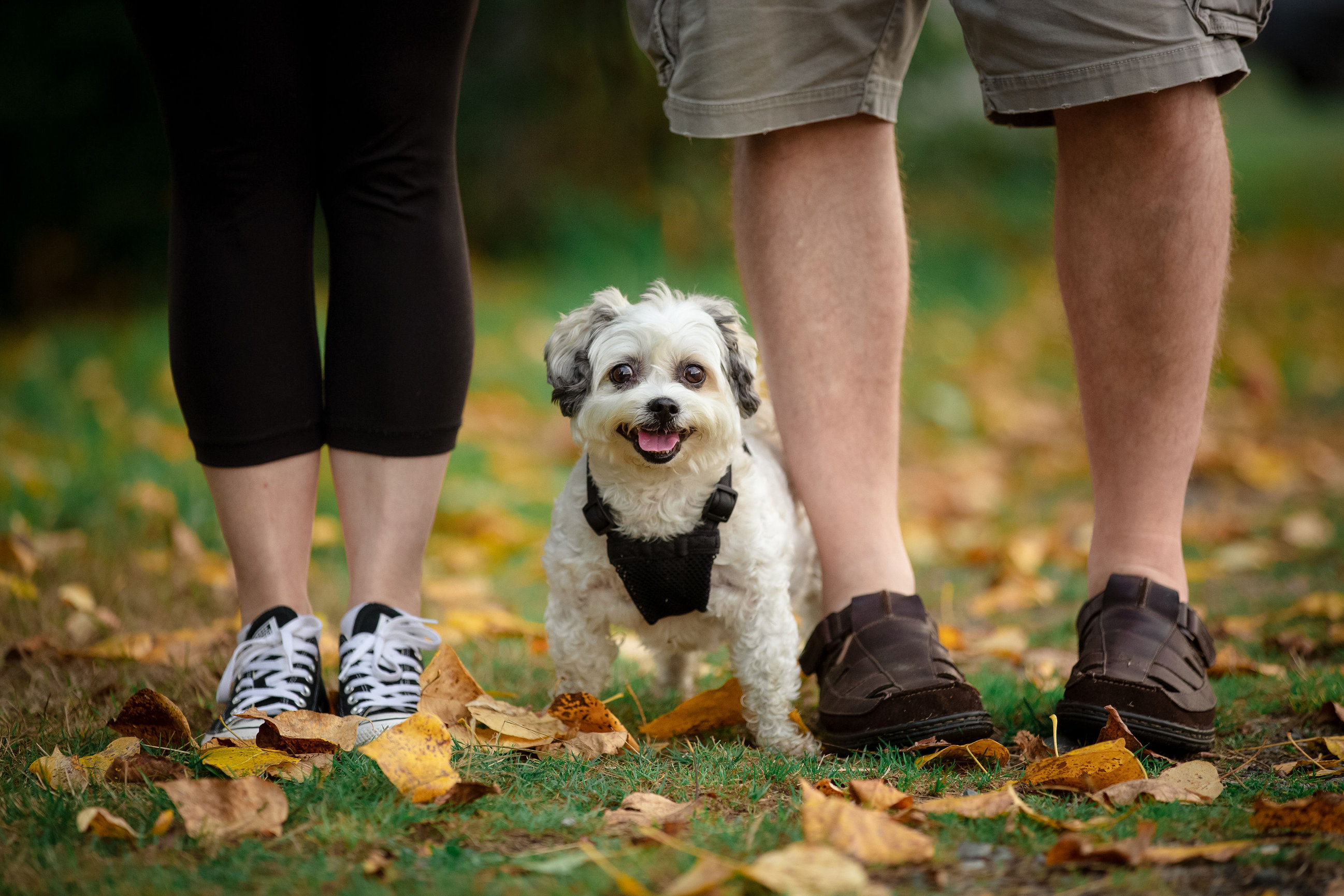 Kim Yanick Portraits