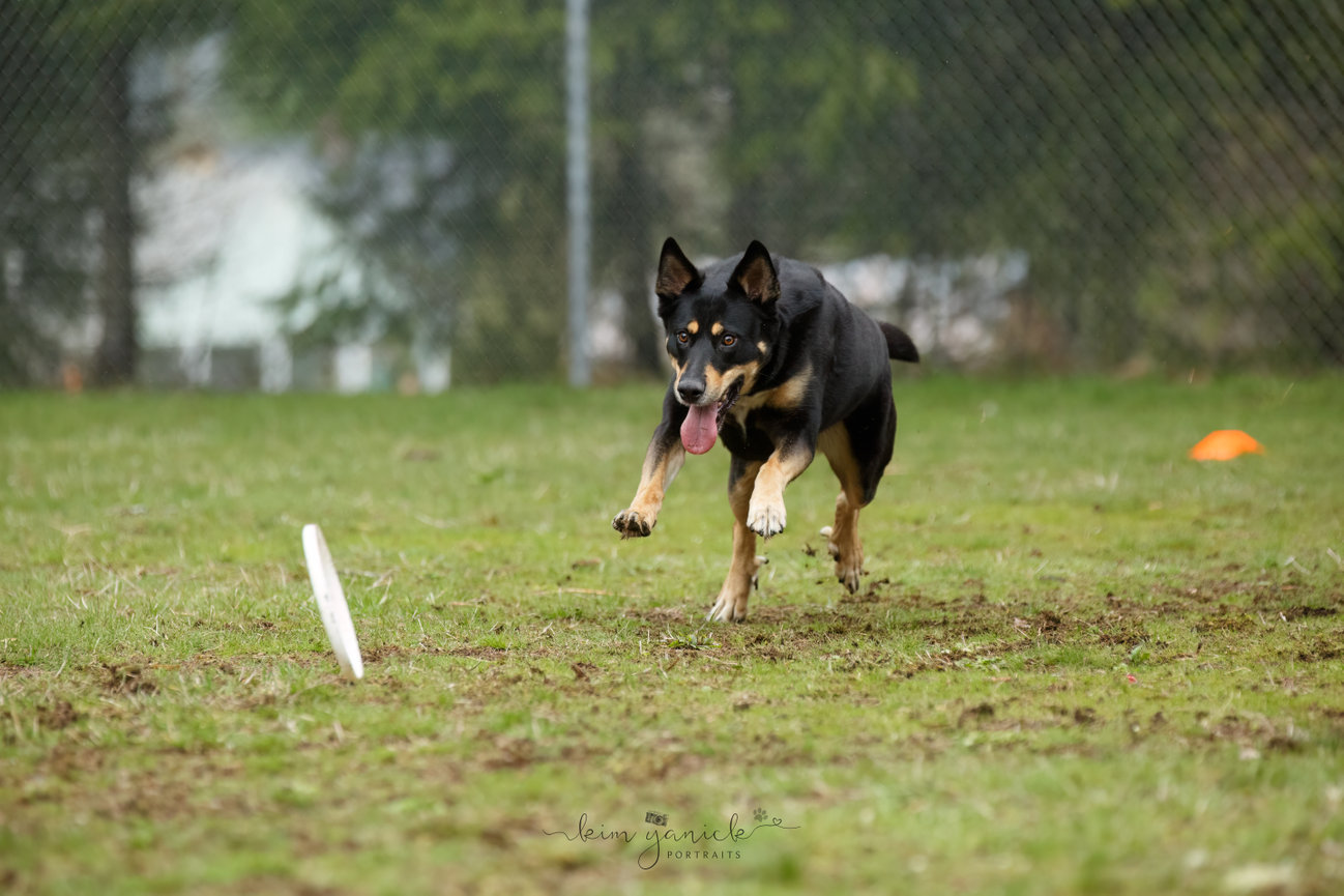 blog - Kim Yanick Portraits