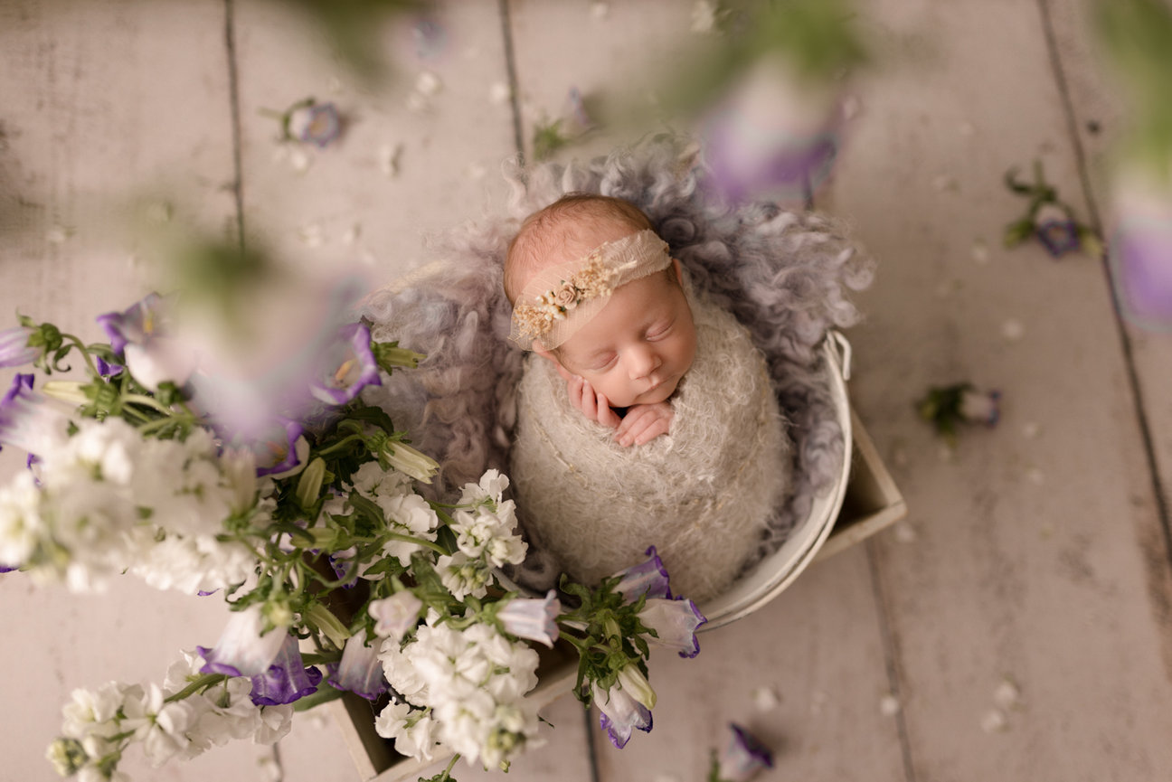 Colorado Springs Newborn Photographer | Heather Ann Photography