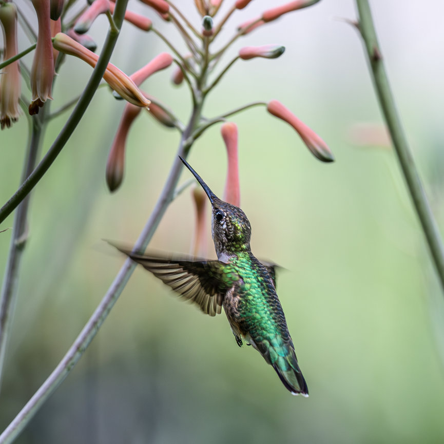Home - michael a eaddy photography
