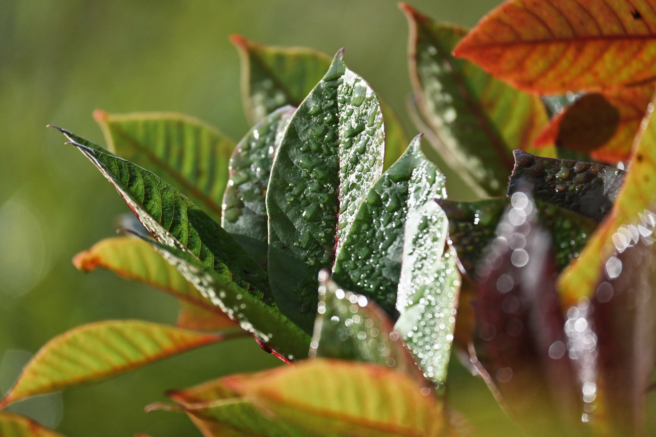 Home - Bryan Pollard Creative Studio