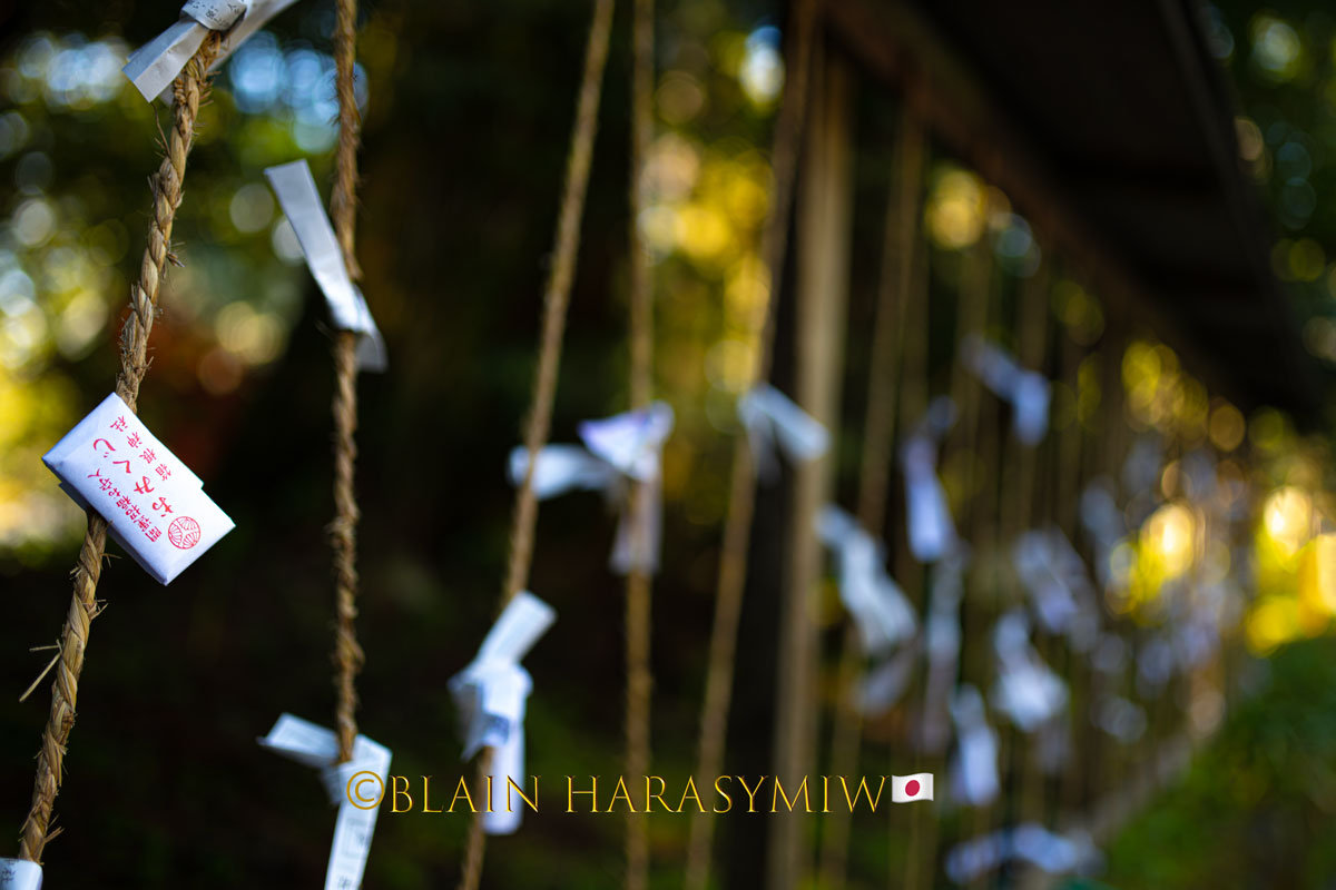 Ancient Japanese cemeteries (墓, ohaka) - Japan Photo Tour Power Spots ...