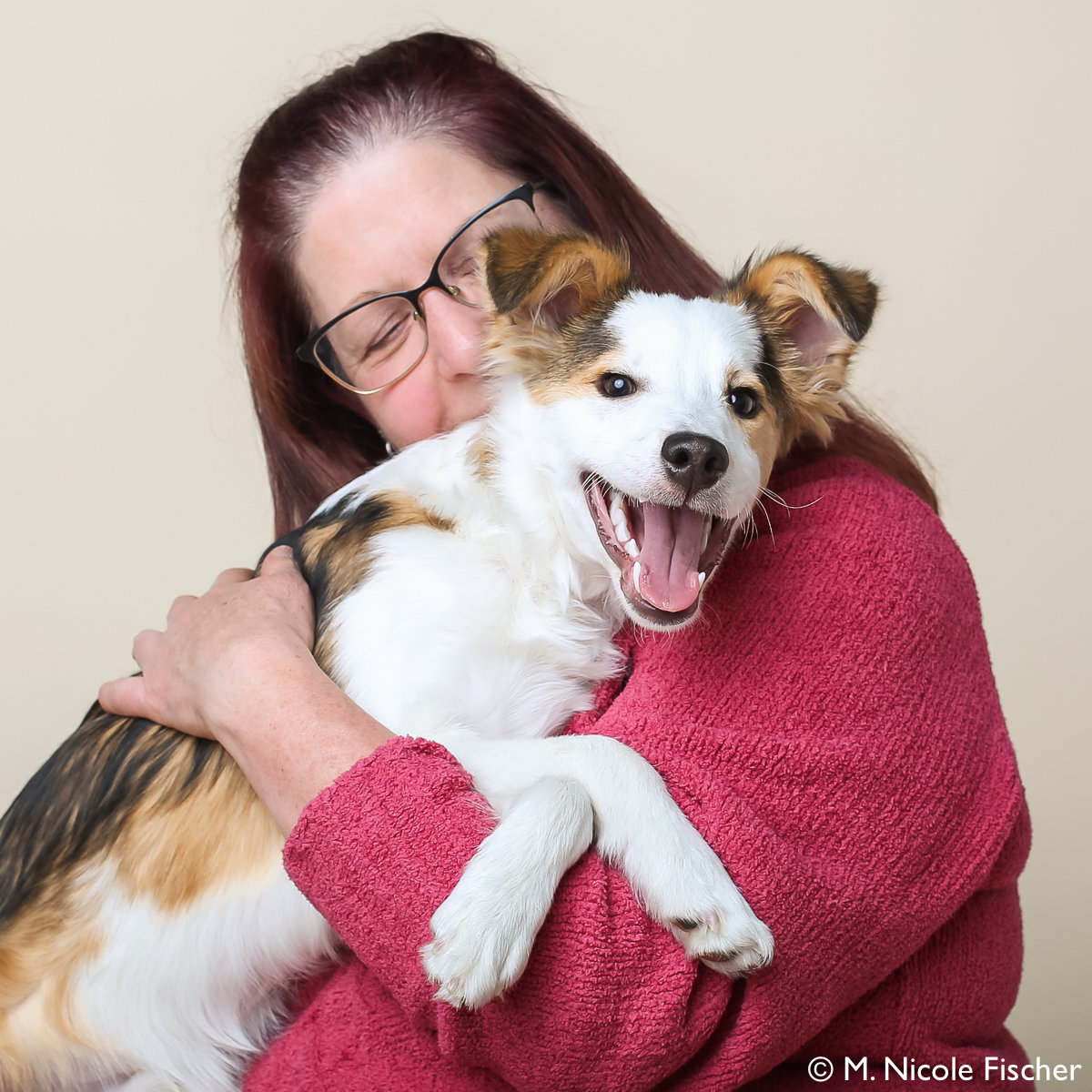 Border-Pap Jet's Puppy Session