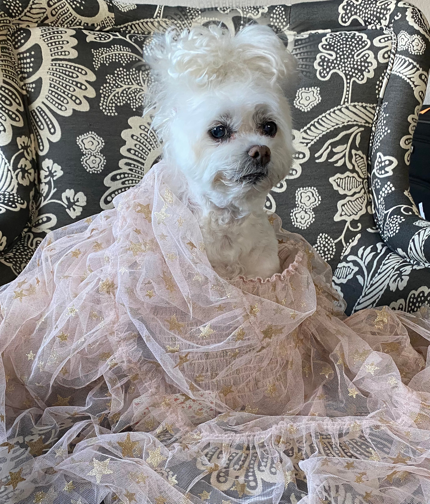 ABOUT - RC George Photography