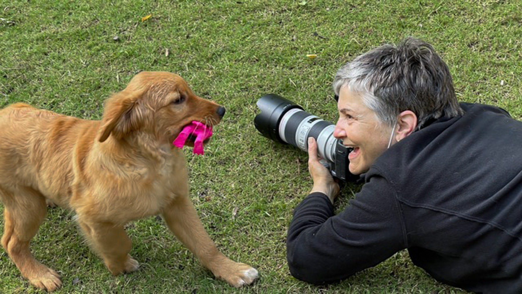 What To Expect During Your Pet Photo Session
