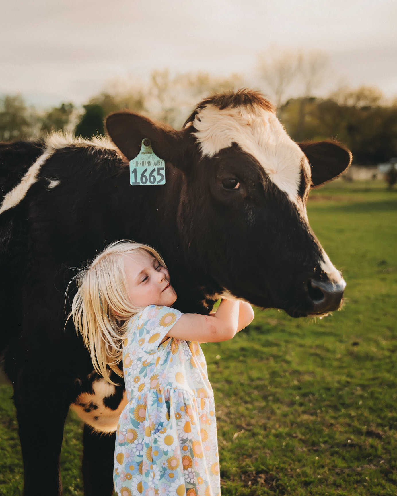 Audrey Bolt: Cake Smashes, Family Fun, and Reaching Clients With ...