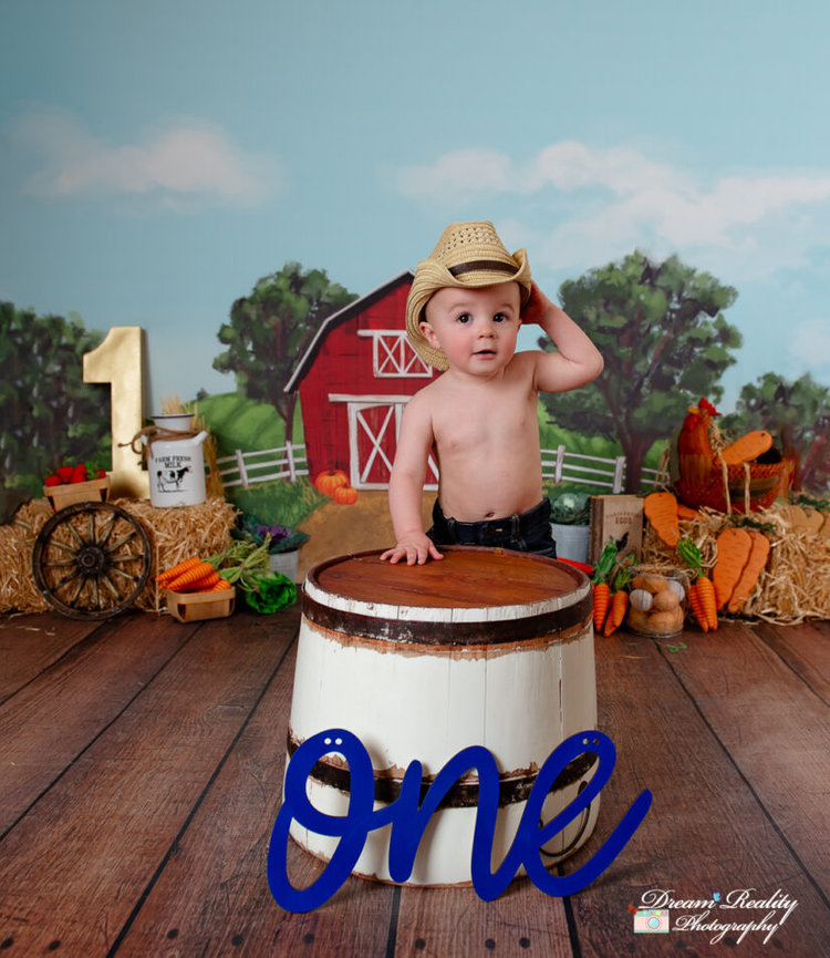 Freehold, NJ Cake Smash Photographer { Western Cowboy Cake Smash ...