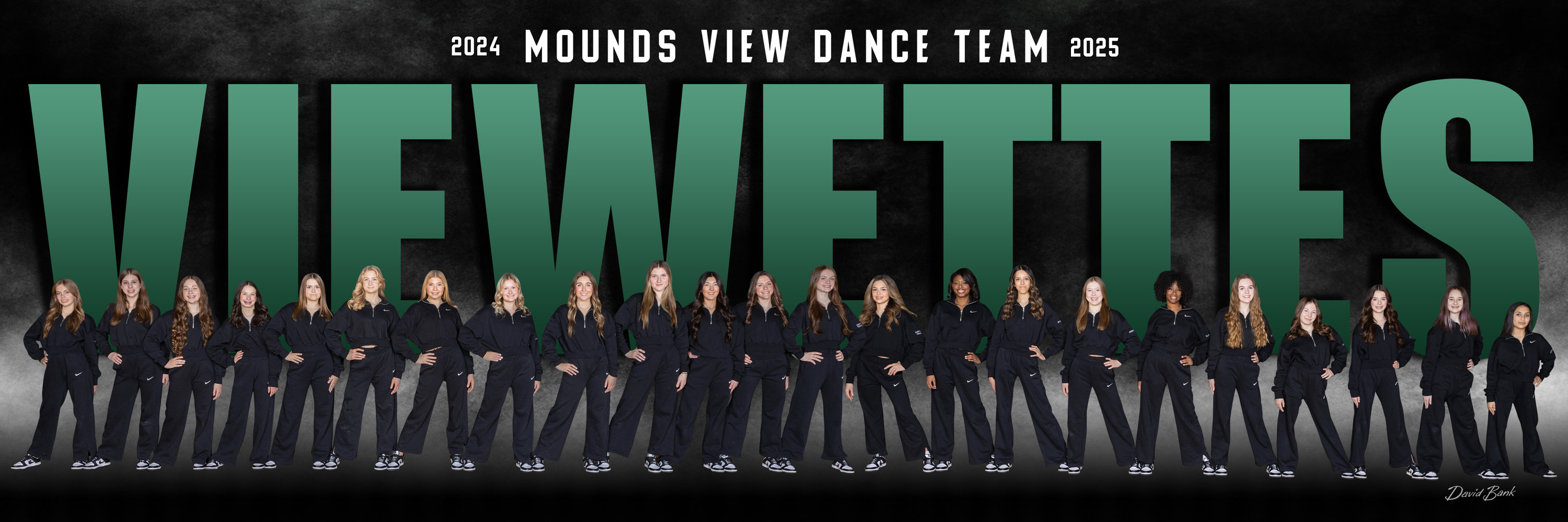 TEAM BANNERS - David Bank Studios