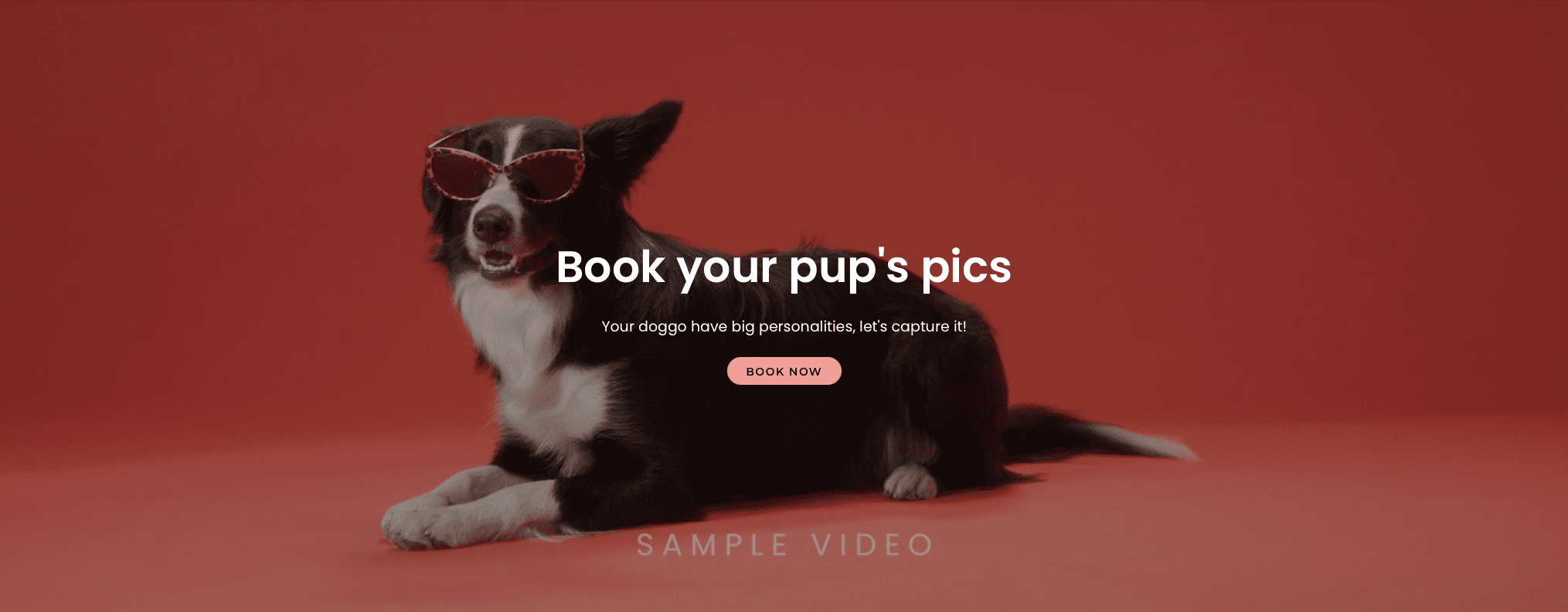 Why Aspect Ratios Matter: Optimizing Your Website with Video - PhotoBiz ...