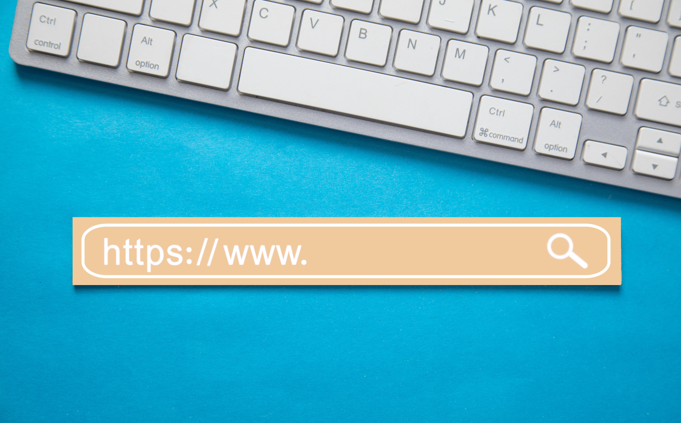 How to Pick the Best Domain Name + Easy Domain Management Tips ...