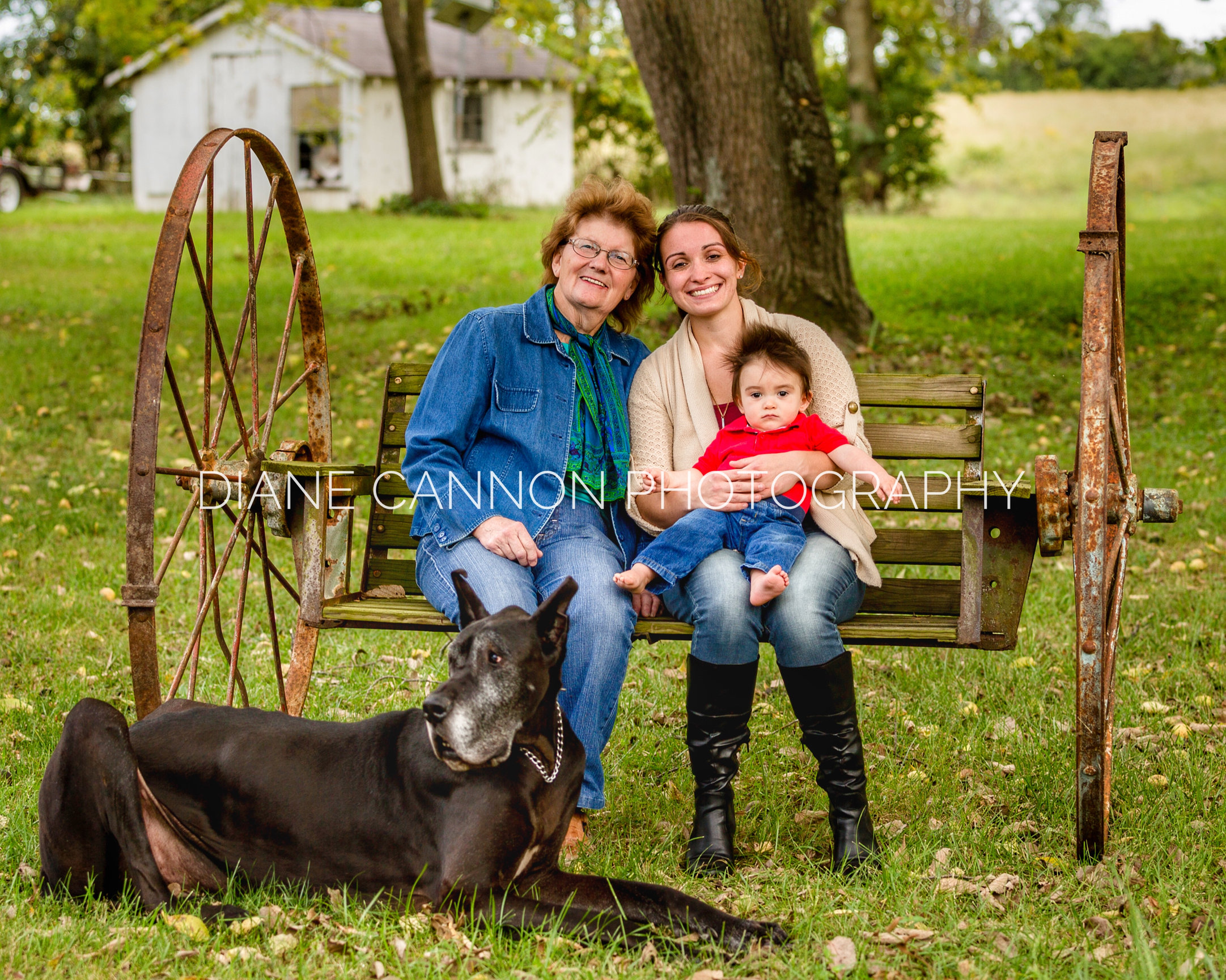 Our 4-legged family - Diane Cannon Photography