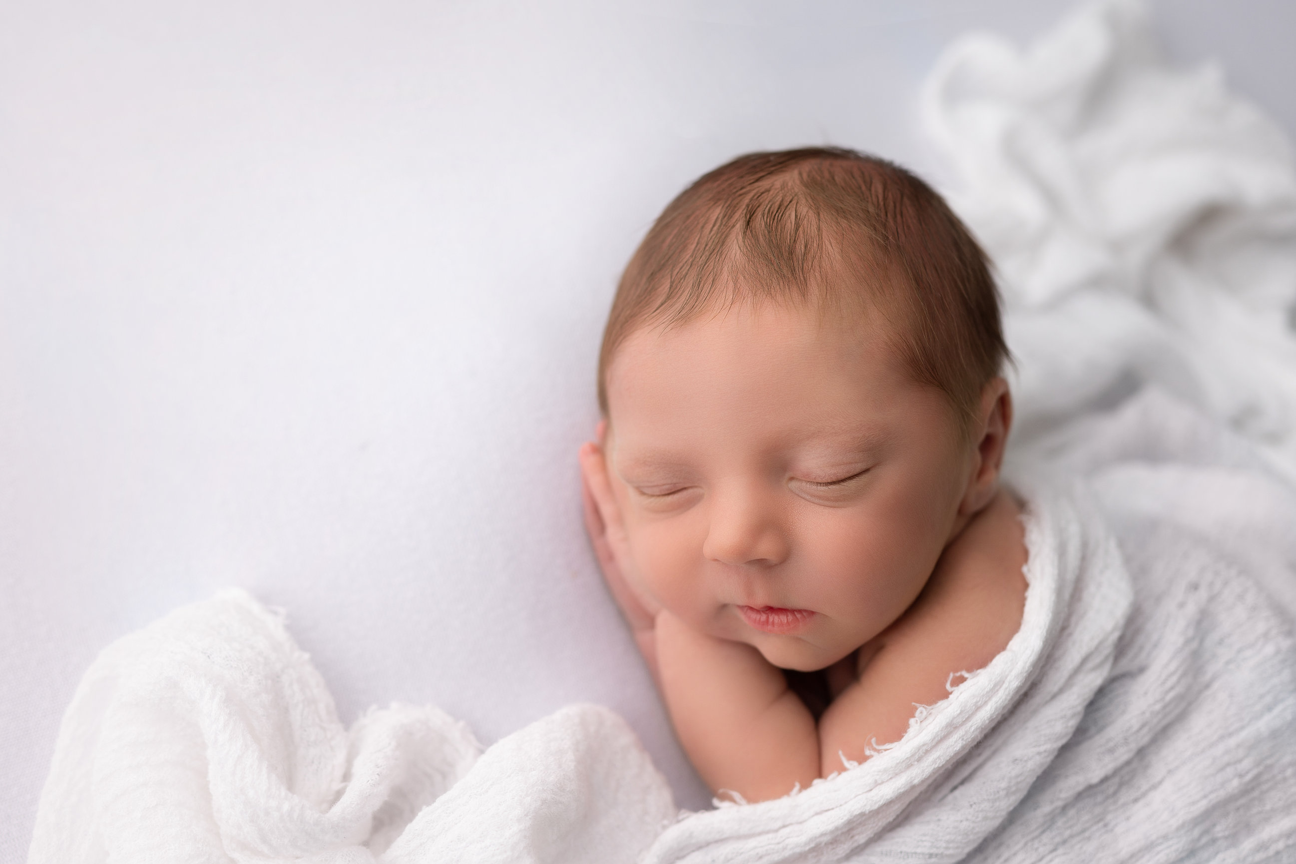 Luca David, 7 days new