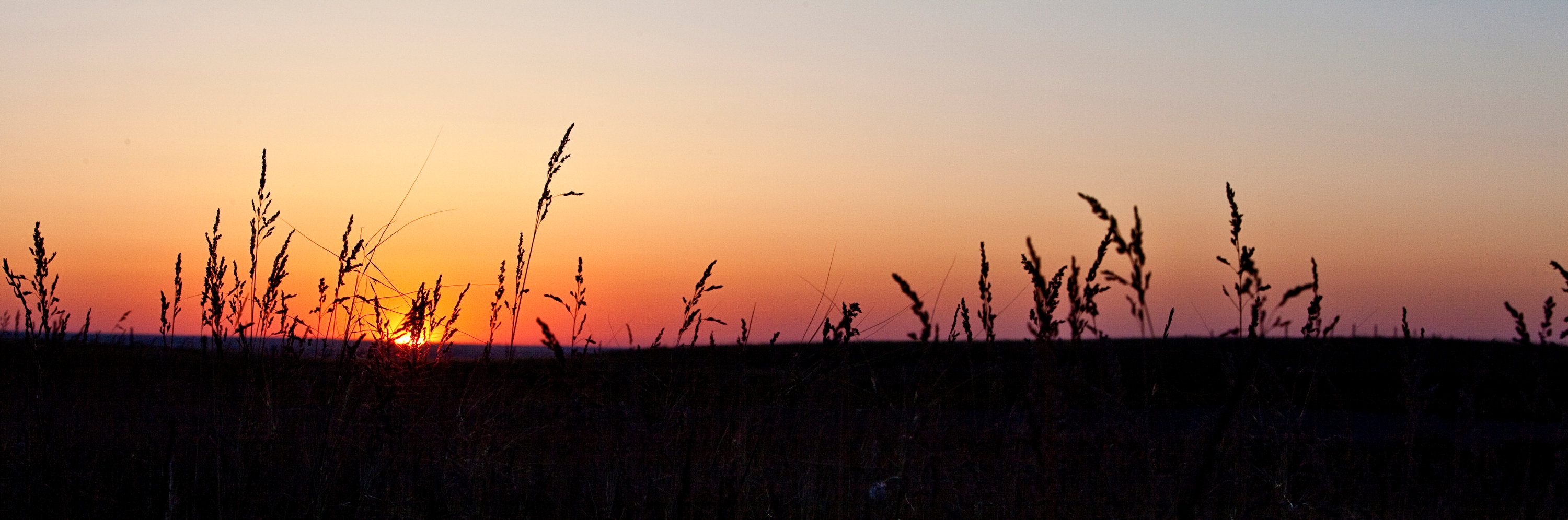 Fall {Lethbridge and Waterton Wedding and Family Photography} - Imajen ...