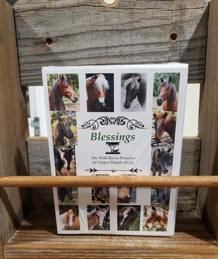 Horse Greeting Cards - The Wild Horse Preserve at Grayce Wynds