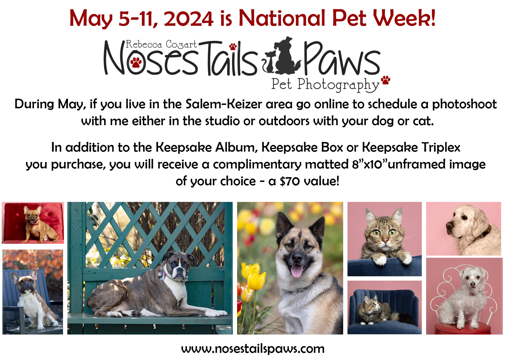 May 5-11 is National Pet Week - Do something special for your pet ...