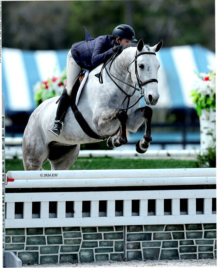 Photo Gallery - Townsend Farm