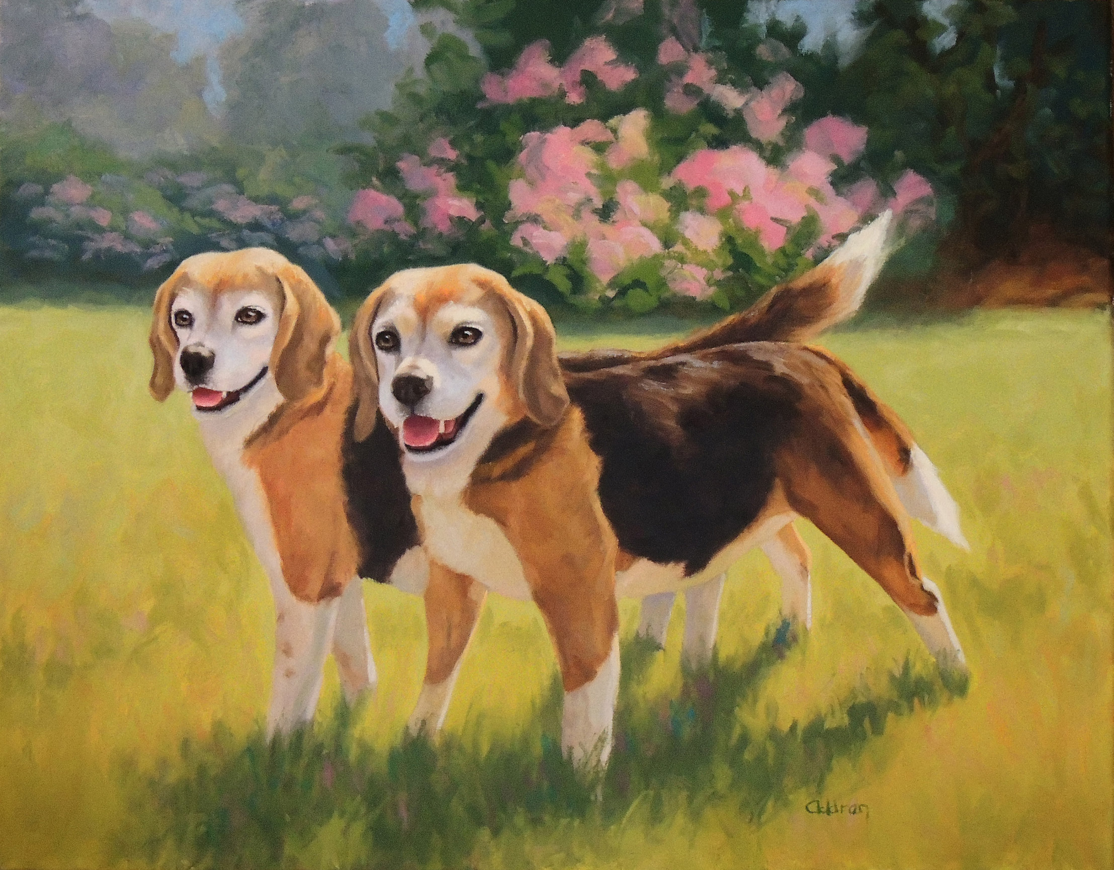 Addren Doss Gallery - Tyler White O'Brien