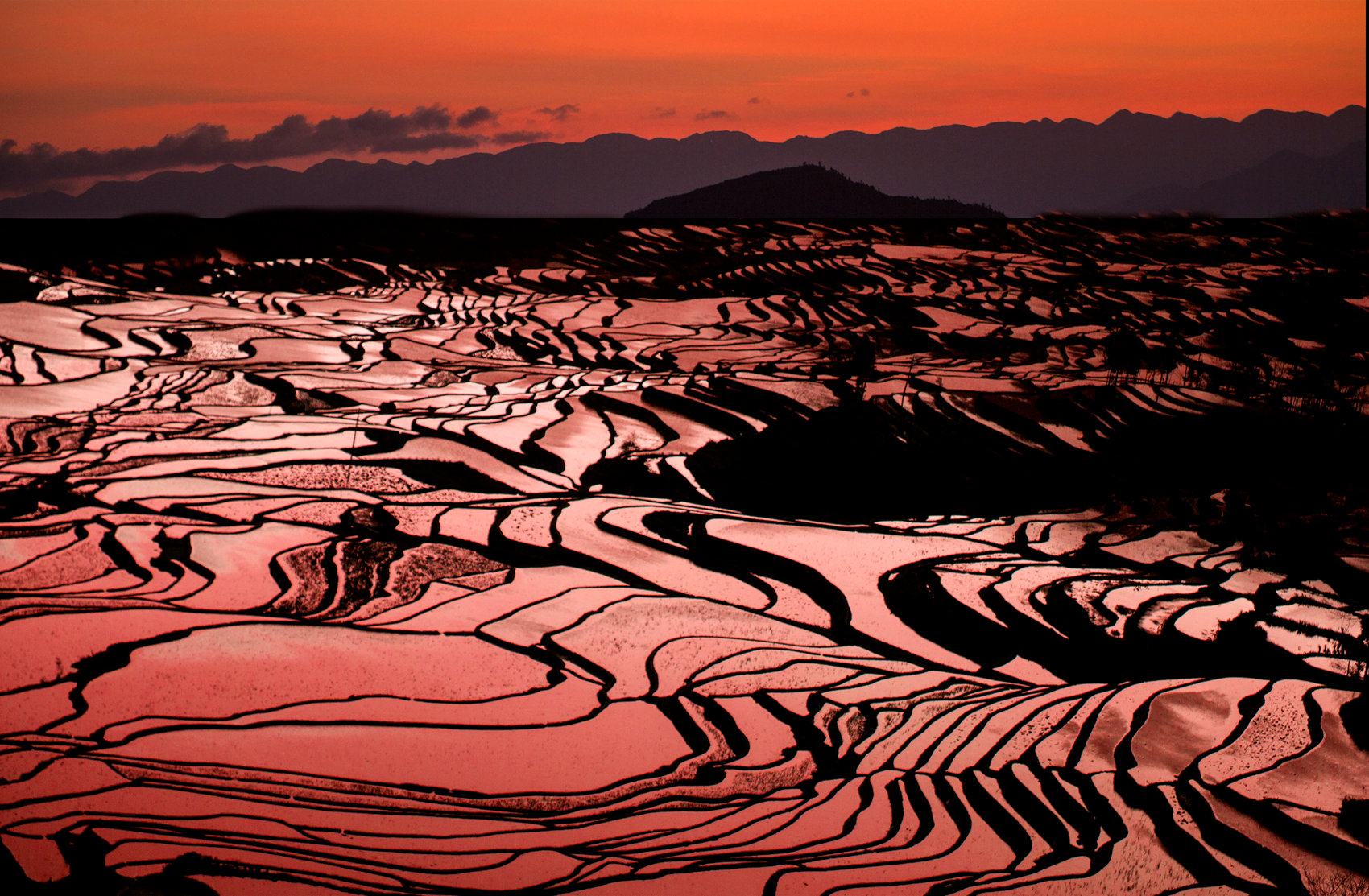 Reflections in rice terraces - Jim Zuckerman photography & photo tours