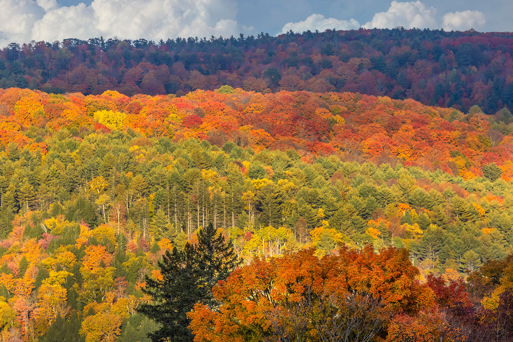 Multitude of colors - Jim Zuckerman photography & photo tours