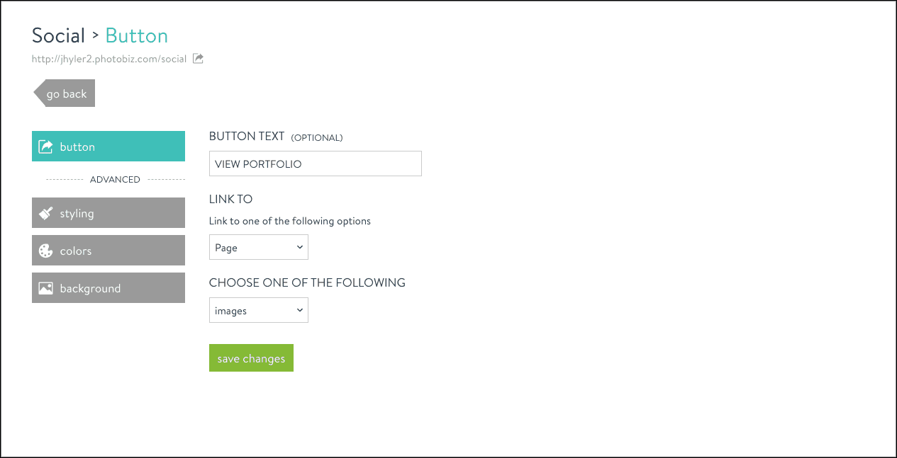 How to Create a Linktree Style Website Landing Page - PhotoBiz ...