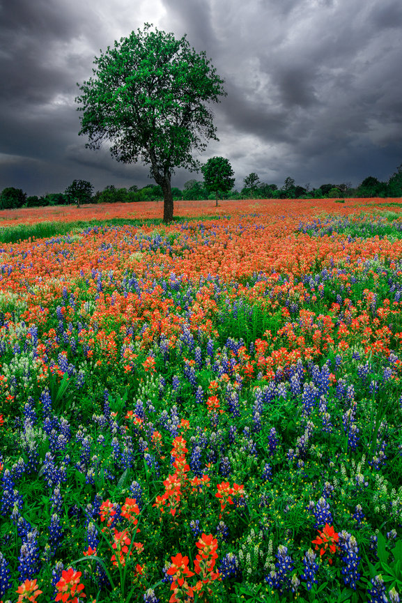 Important tour policies - Jim Zuckerman photography & photo tours