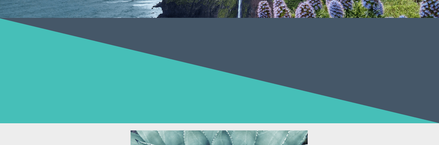 How To Use Slant And Point Dividers - PhotoBiz Knowledge Base