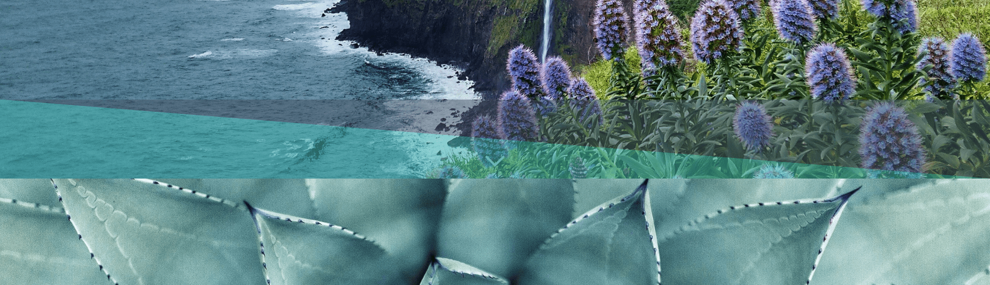 How To Use Slant And Point Dividers - PhotoBiz Knowledge Base