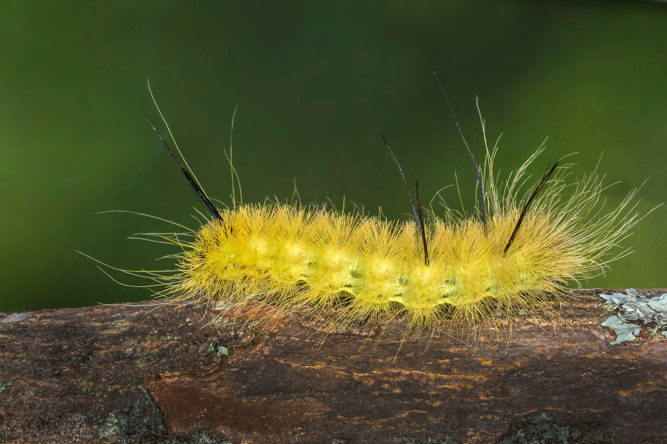 Jim's Blog | Jim Zuckerman Photography & Photo Tours