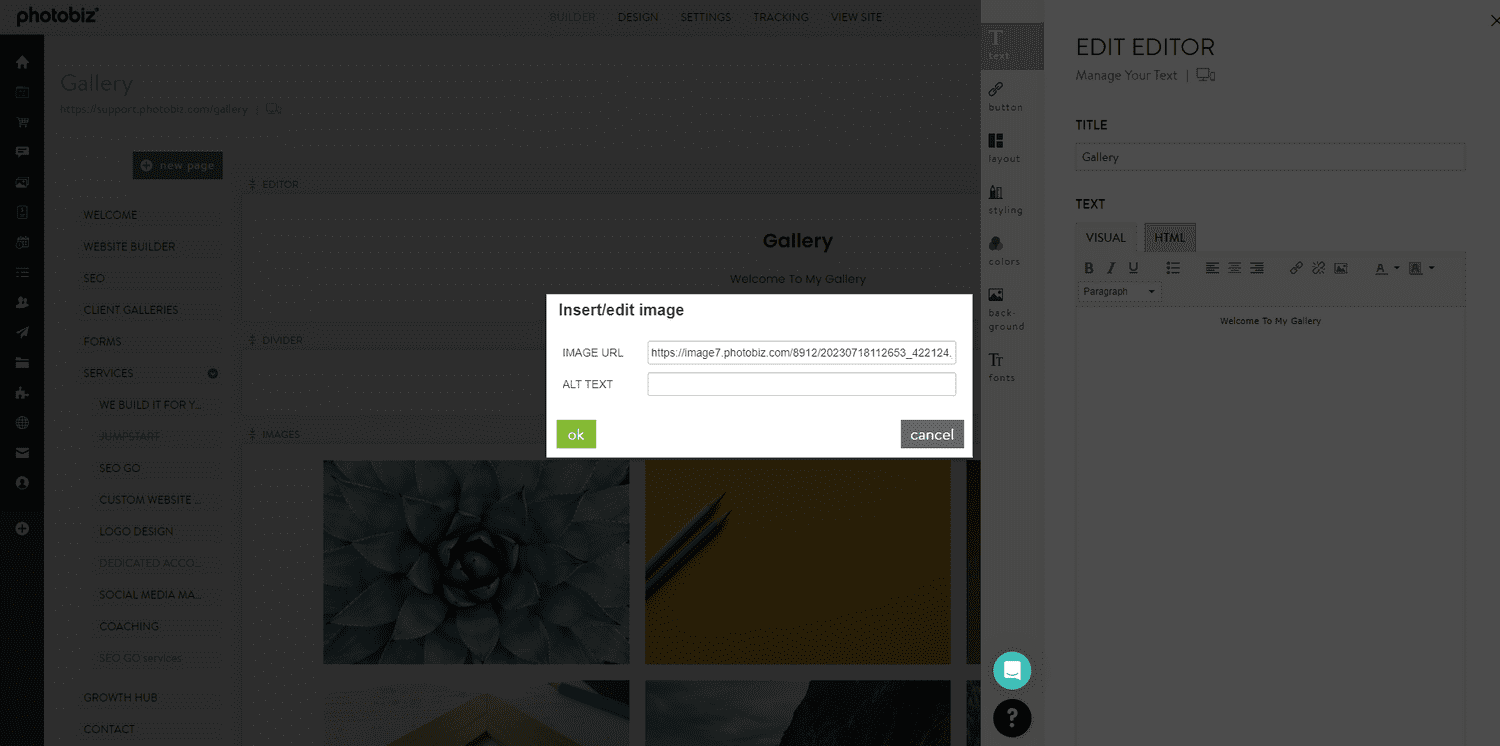 How can I embed an image in my text editor? - PhotoBiz Knowledge Base