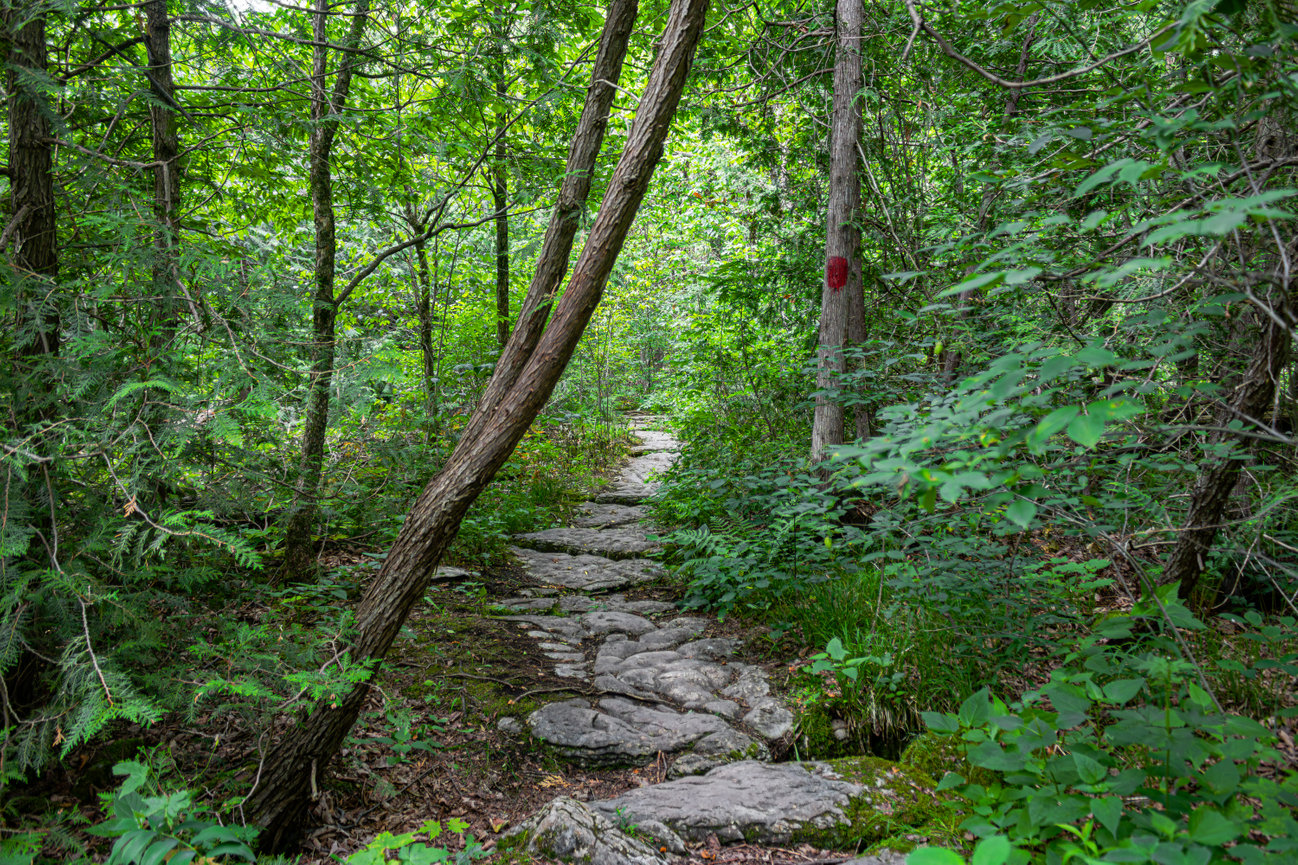 Clark Reservation State Park, NY - Chris G Photography