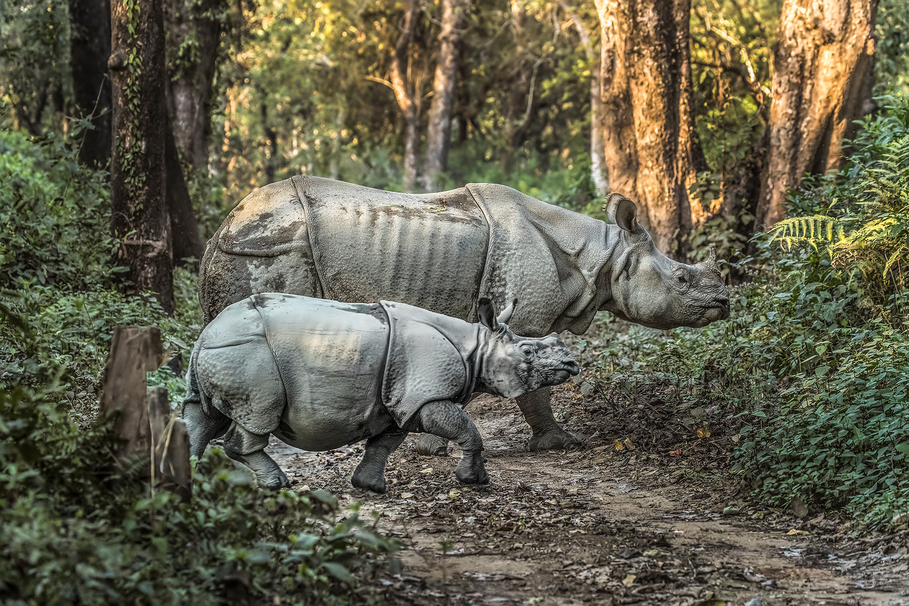 A rare sighting - Jim Zuckerman photography & photo tours