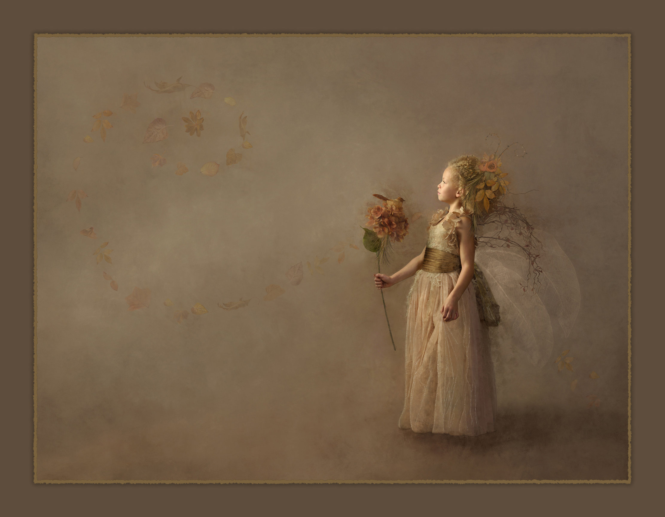 HOME - Johnson Photography