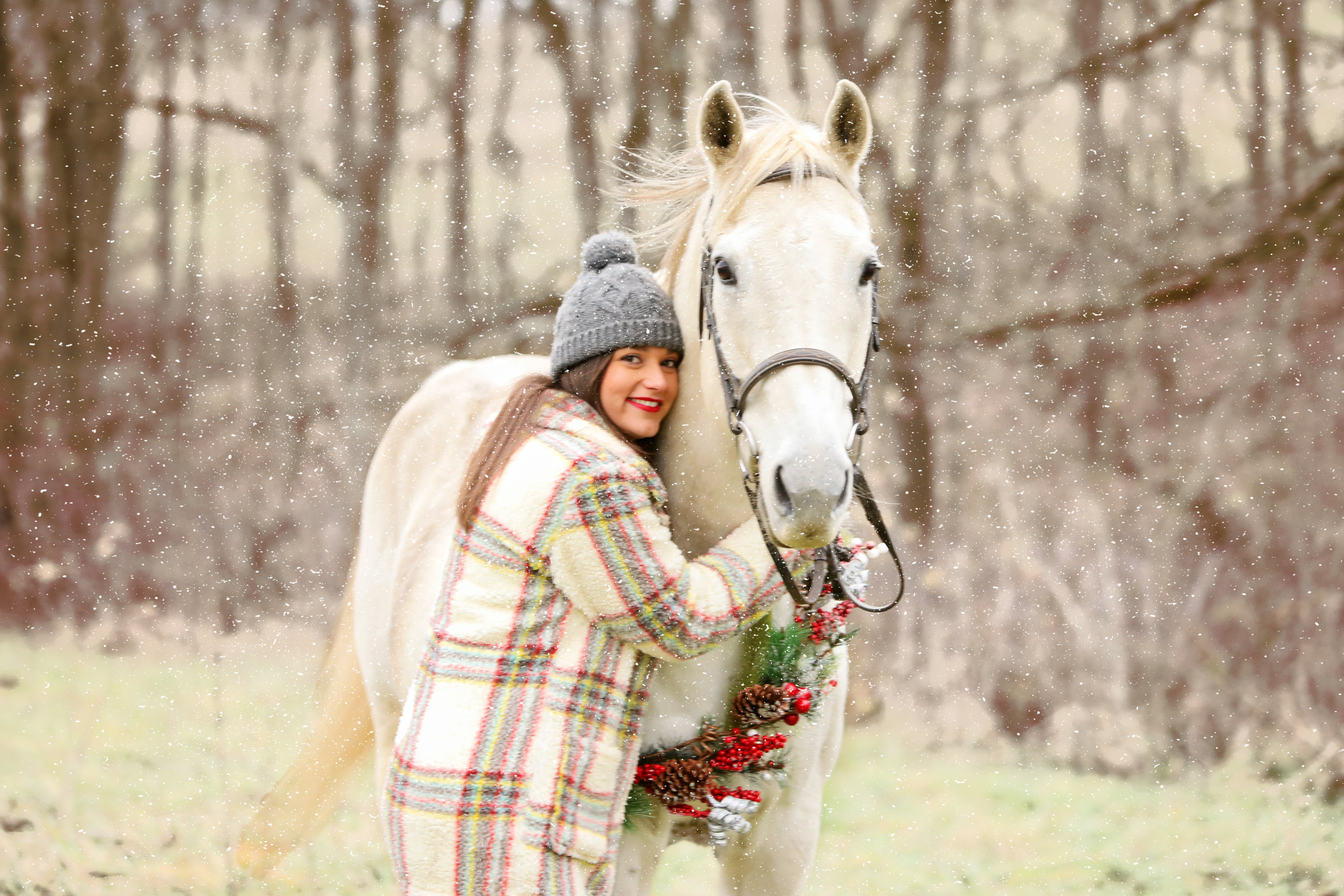 EQUINE - Tri Color Photography