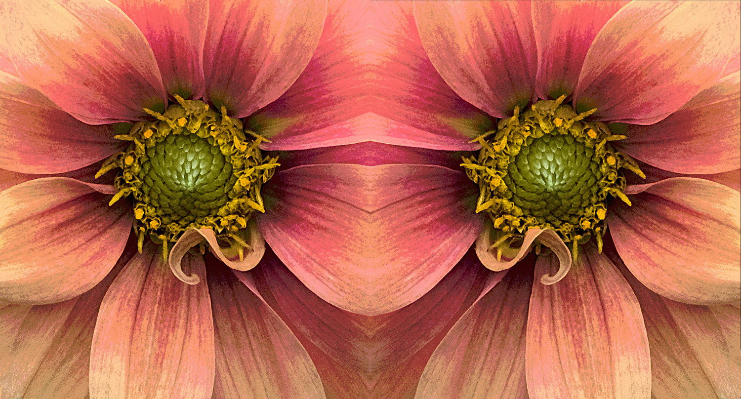 Before and After - Mike Moats - Award Winning Macro Photographer