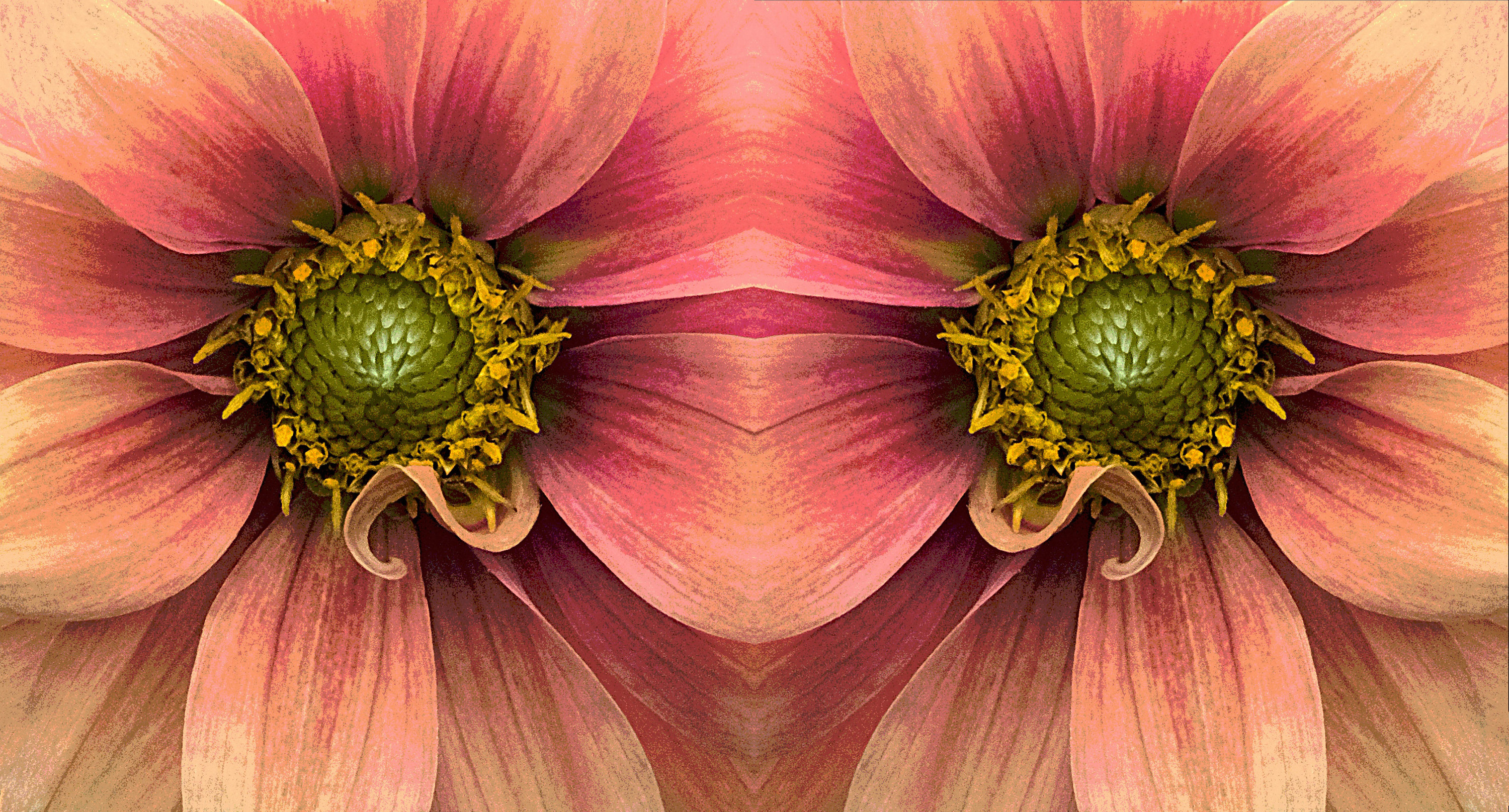 Before and After - Mike Moats - Award Winning Macro Photographer