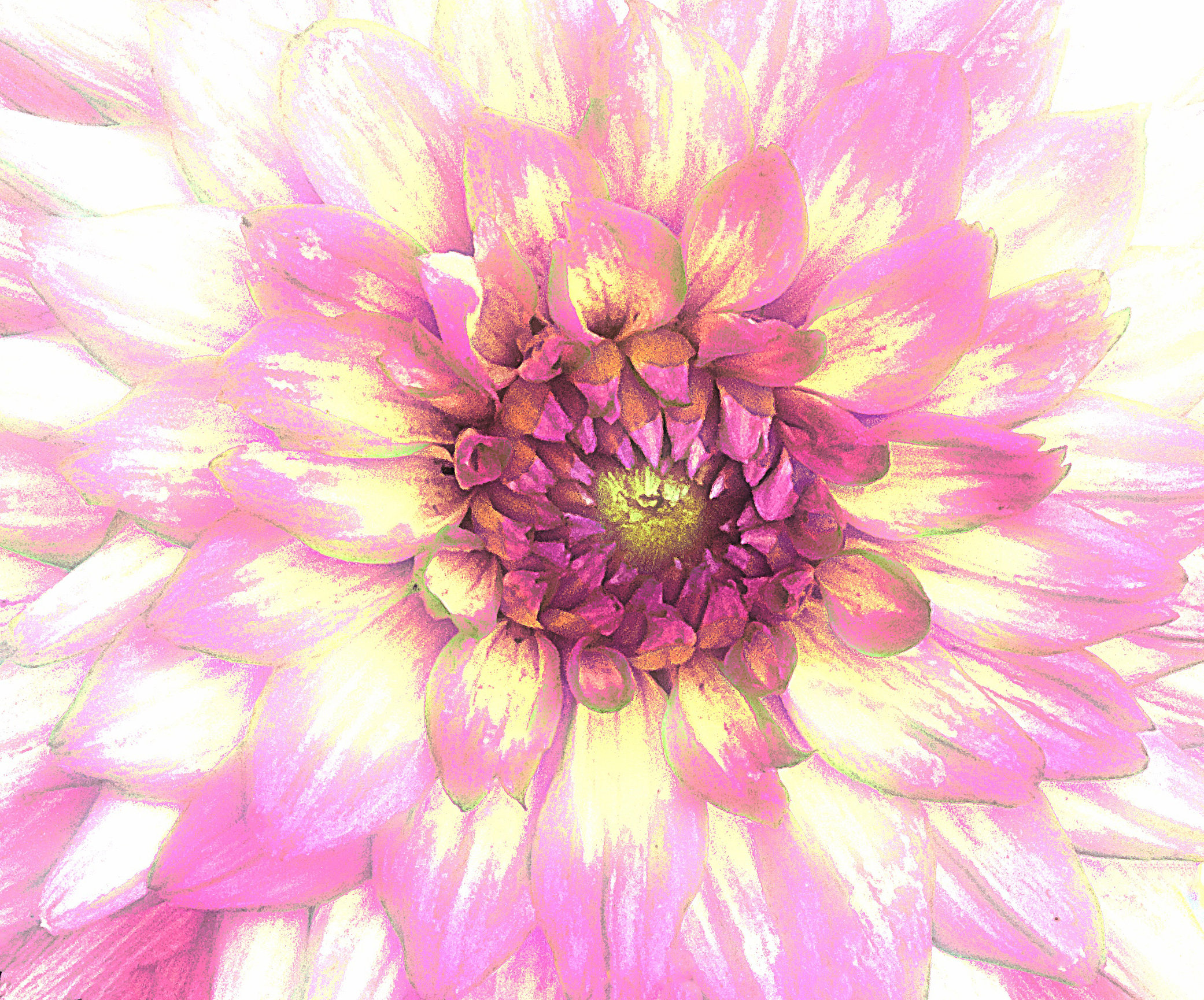 What Are Your Photographic Goals for 2025 - Mike Moats - Award Winning ...