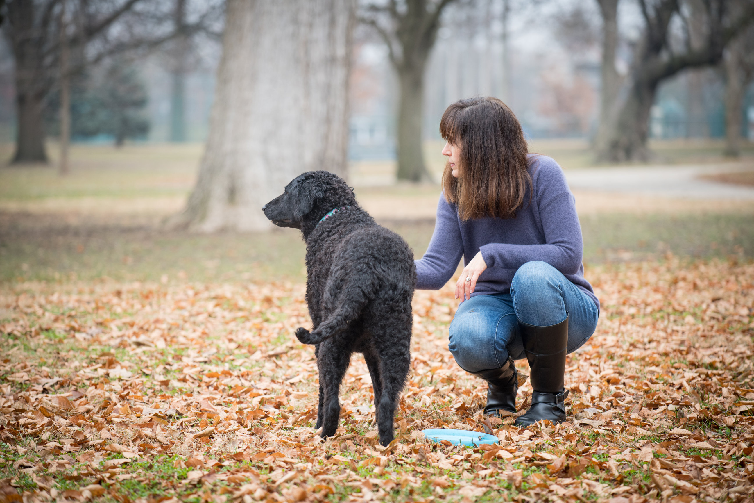 Celebrating Life: End-of-life photo sessions for your beloved dog