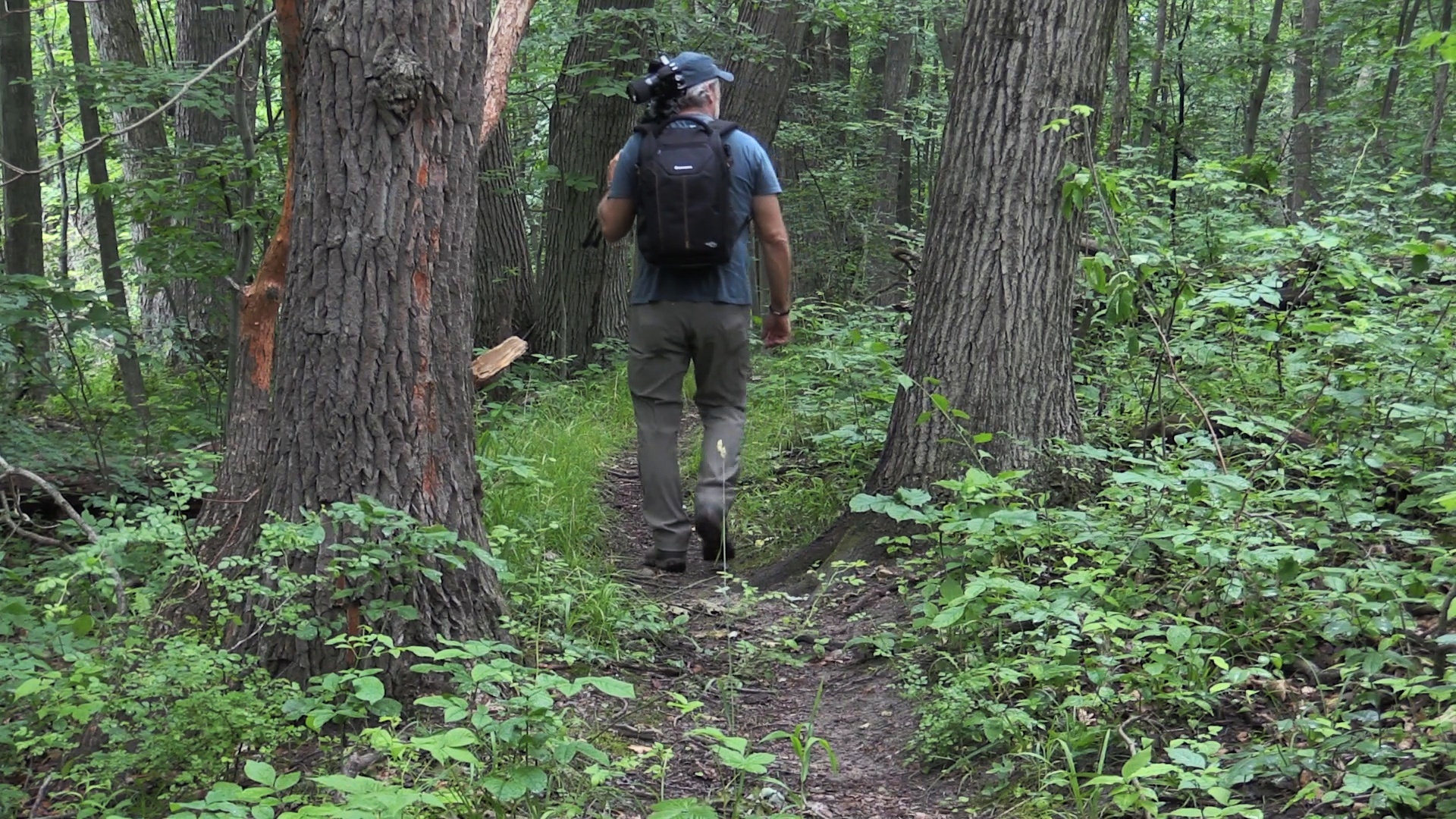 Ending Sign Ups for the Macro Photo Club - Mike Moats - Award Winning ...