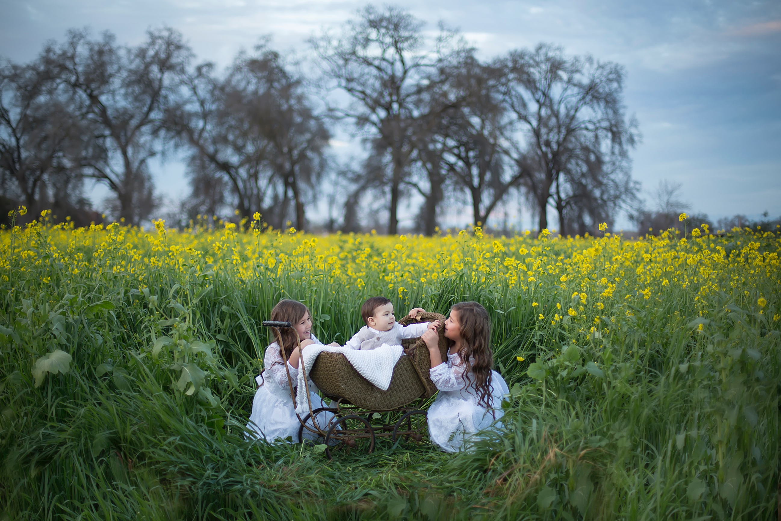 Home - Janette Smith Photography