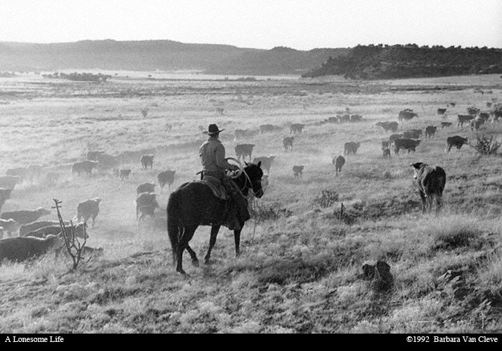 A Lonesome Life - Barbara P Van Cleve